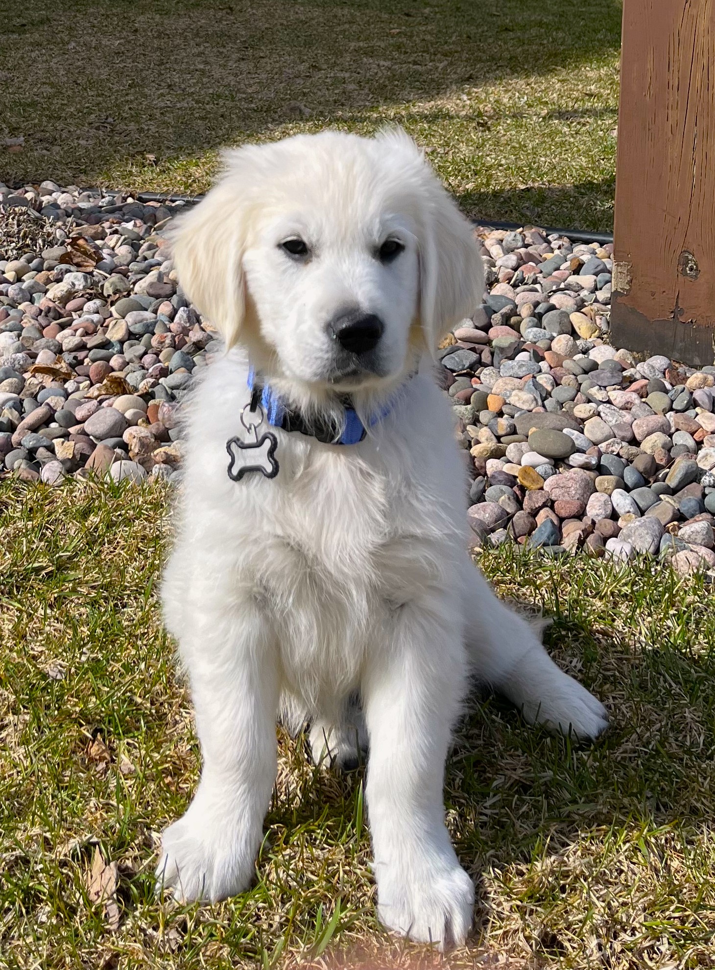 Charlie Pepper | Dodgeville Wisconsin