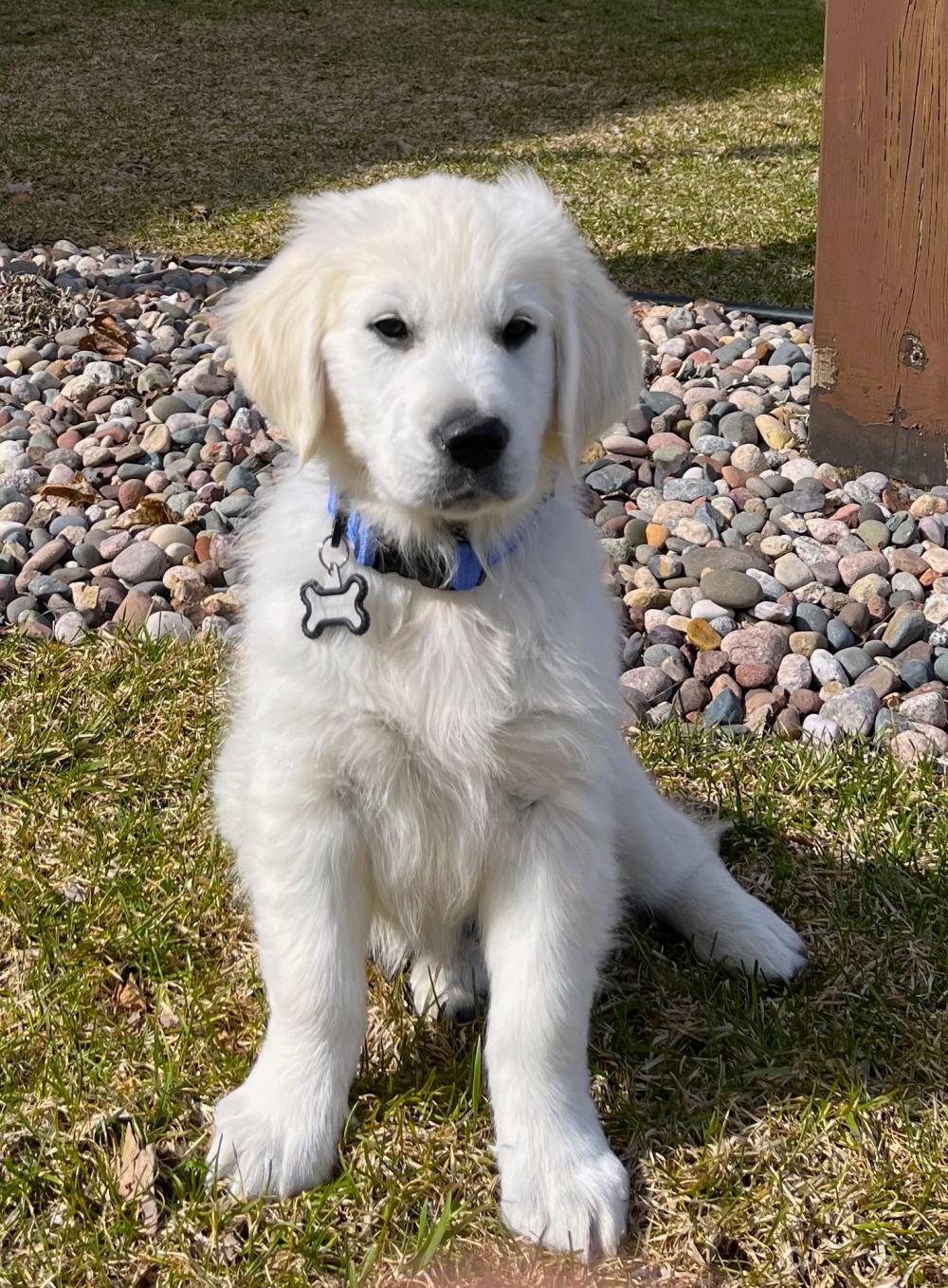 Charlie Pepper | Dodgeville Wisconsin